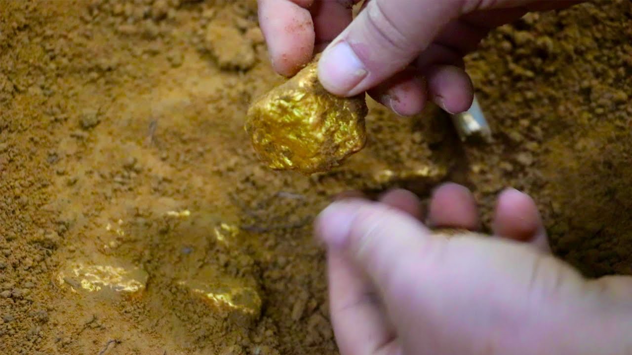Big Gold Mine Found Under Big Forest Trees: Mining Worth Millions at a ...
