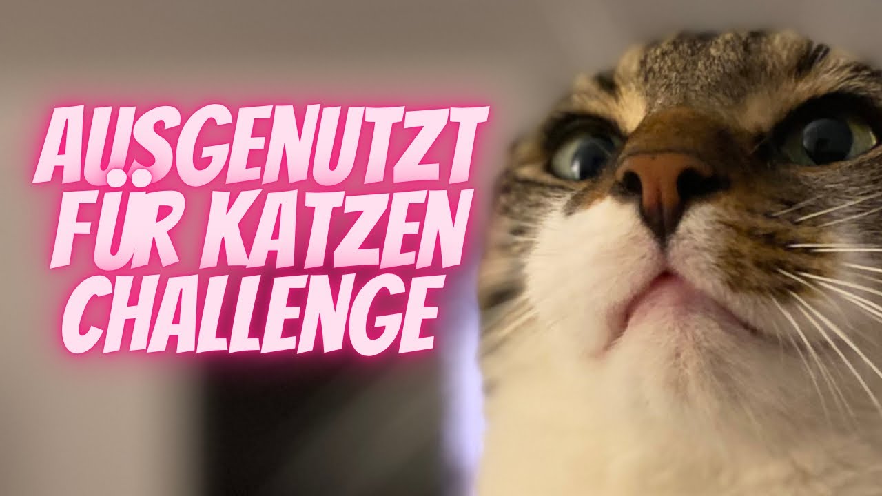 AUSGENUTZT FÜR SOCIAL MEDIA - YouTube