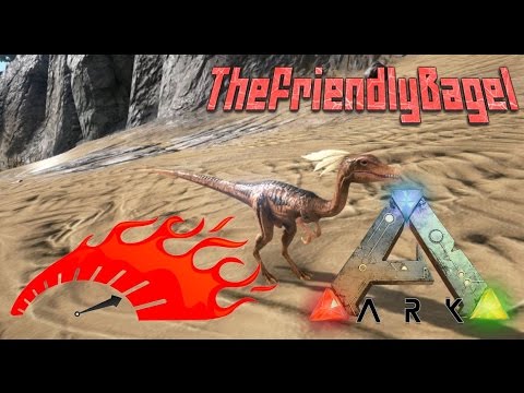 Ark Max Speed! | Compy - YouTube