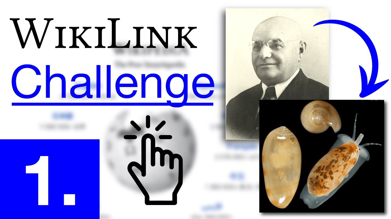 WikiLink Challenge #1: Krikor Amirian to Volvarina ofeliae - YouTube