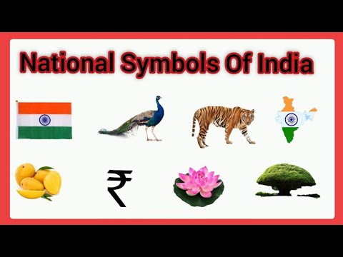 National Symbols of India /National symbols of India for kids,ukg,lkg ...