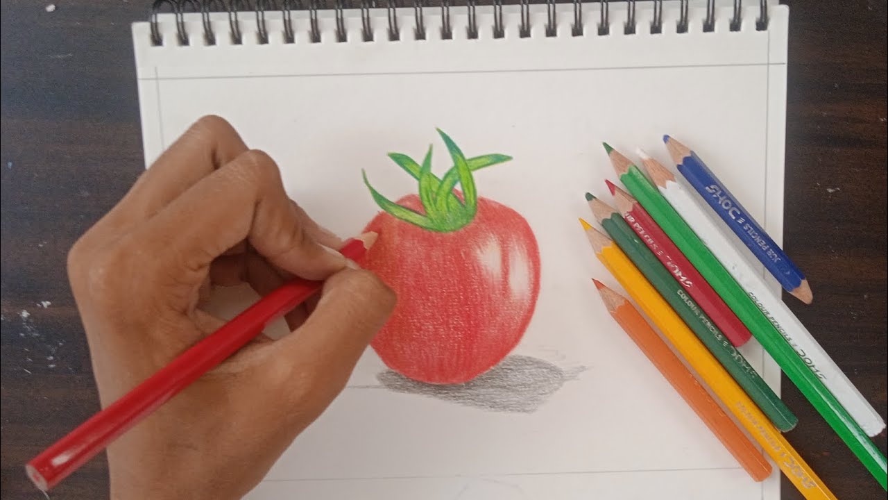 Very easy..!! How to draw realistic tomato | 3d drawing of tomato - YouTube