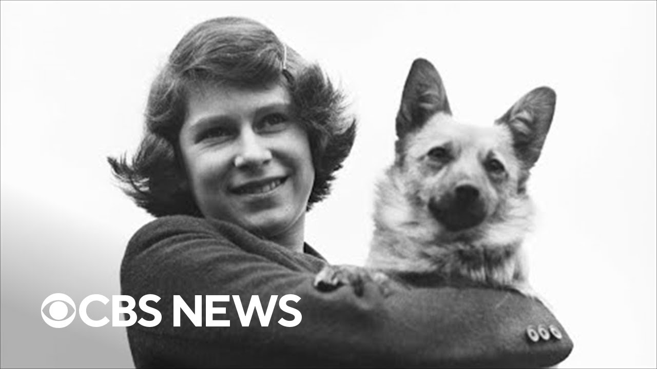 Queen Elizabeth II's lifelong love of animals, from Corgis to ...