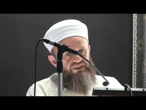 aslan kurt ve tilki meselesı