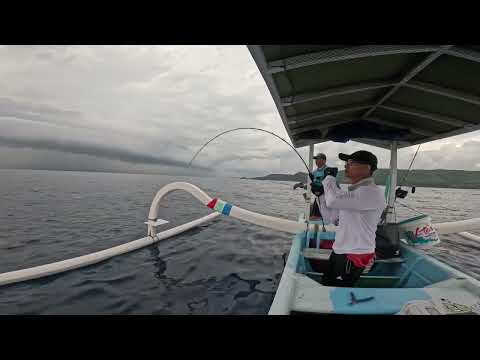 HISHIMO SOLDUM GHOST B572 ACTION ROD Max jig 250g use kadal jig 650g 