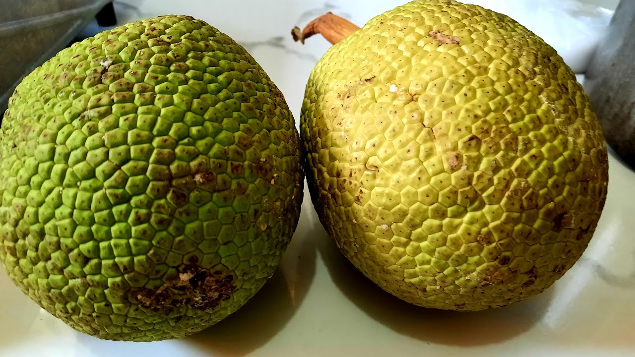 KUMAKAIN KA BA NITO? EASY WAY OF COOKING BREADFRUIT! RIMAS | KULO ...