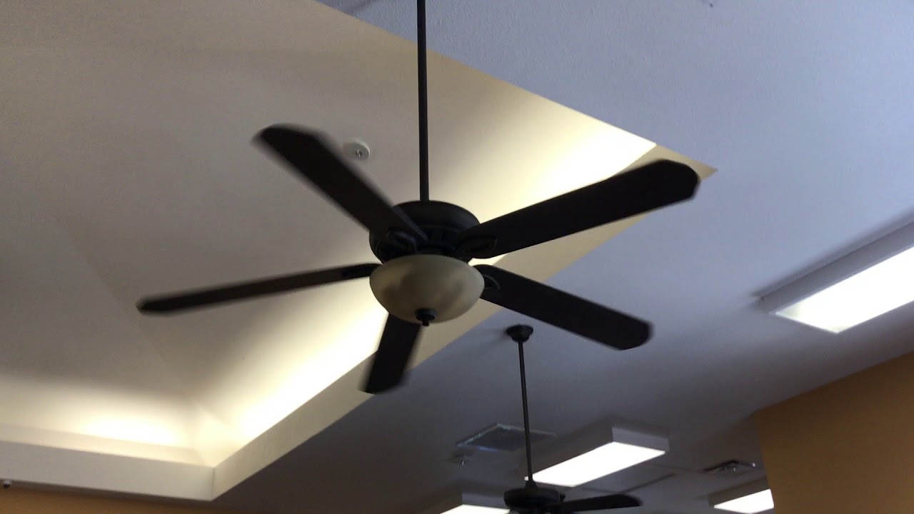 6 Hampton Bay Asbury Ceiling Fans at a Library - YouTube