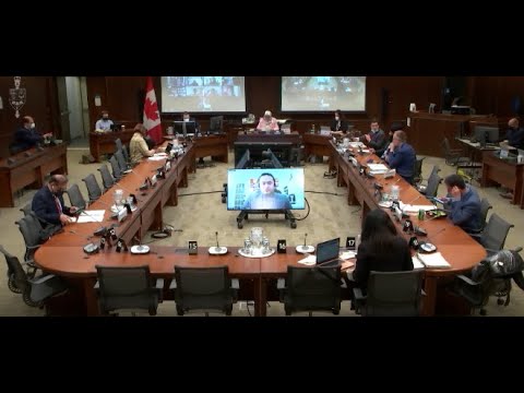 Mario D. Bellissimo speaks before The House of Commons Standing ...
