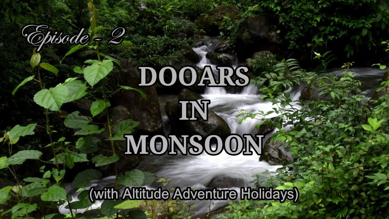 Dooars in Monsoon (Episode - 2) - YouTube