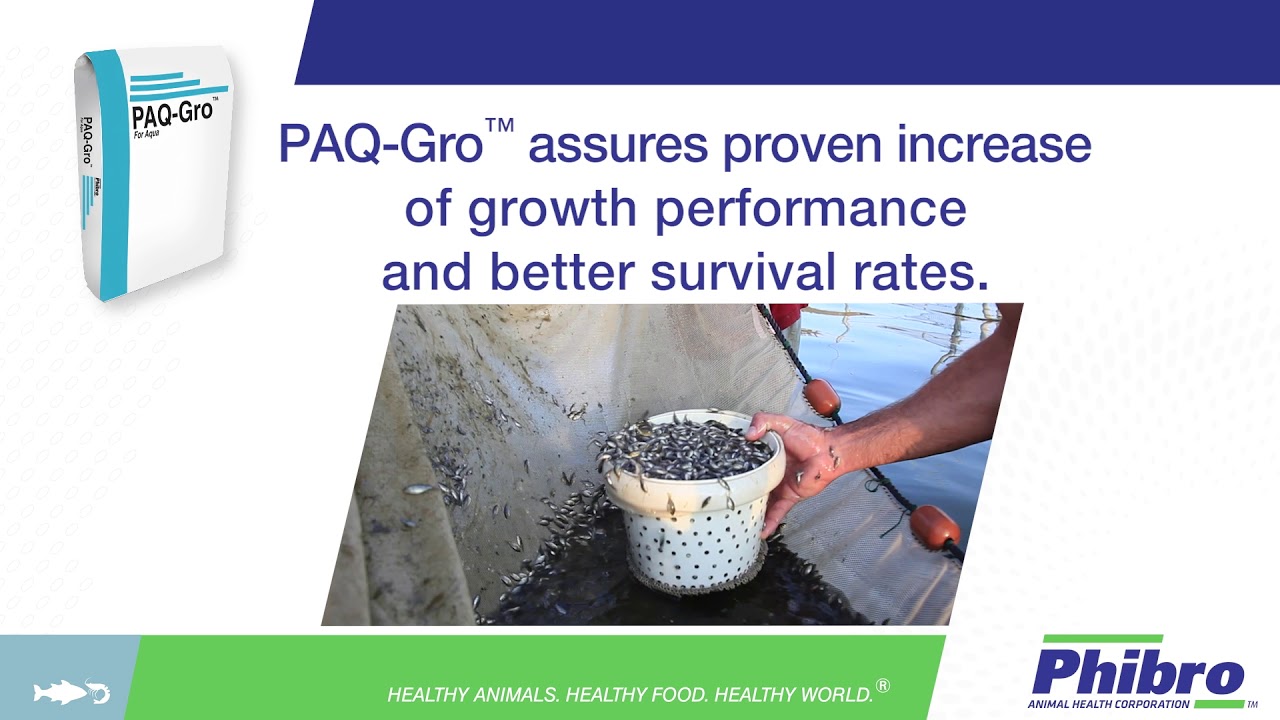 PAQ Gro™ - YouTube