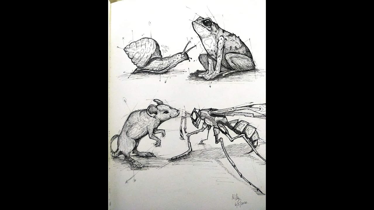 My Drawing Collections Part 5 - YouTube