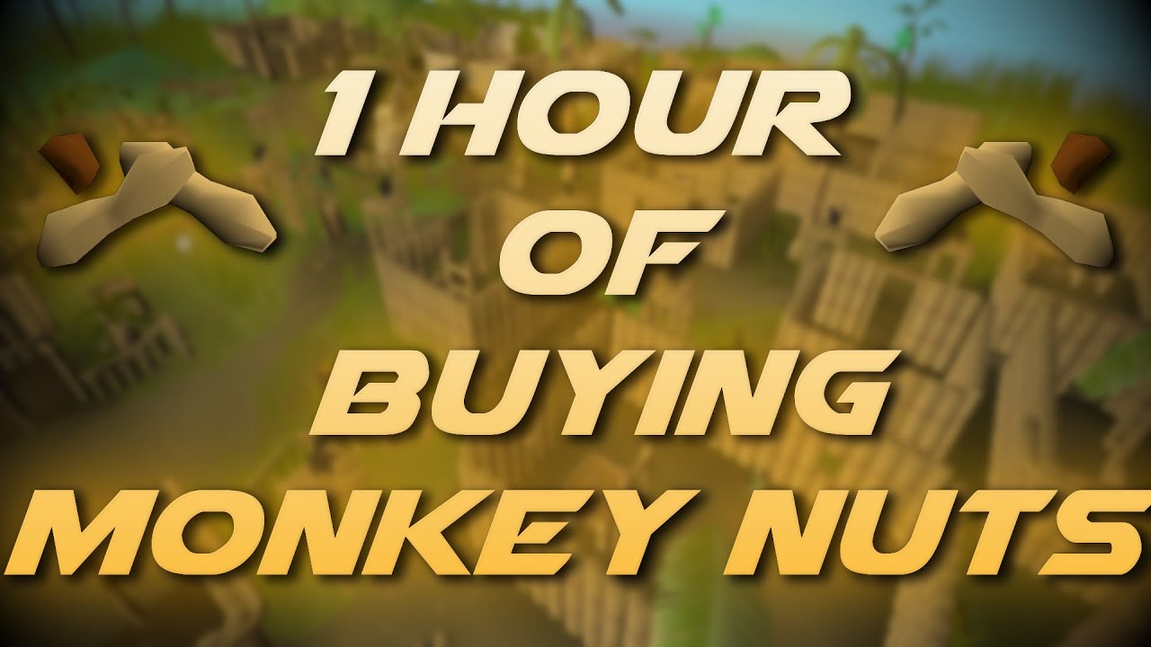 Buying Monkey Nuts | Testing OSRS Wiki Money Making Methods - YouTube
