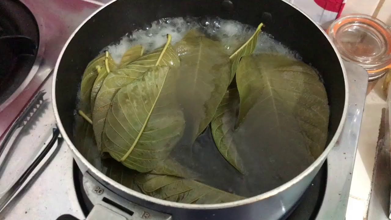 Alipunga/Athletes foot langgas dahon ng bayabas 💋18 - YouTube