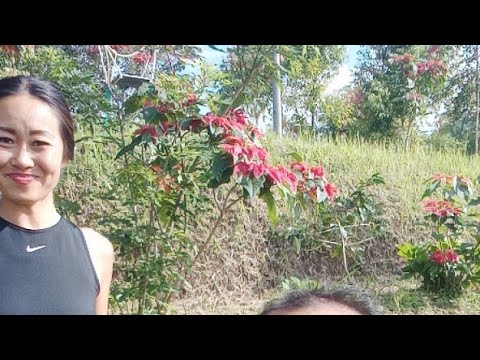 kopi arabika-Review Wanagiri Coffee Plantation - YouTube