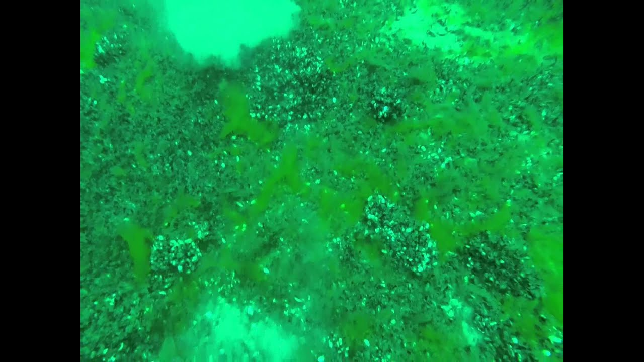 Six Fathom Bank Ground Truth Site A01 - YouTube