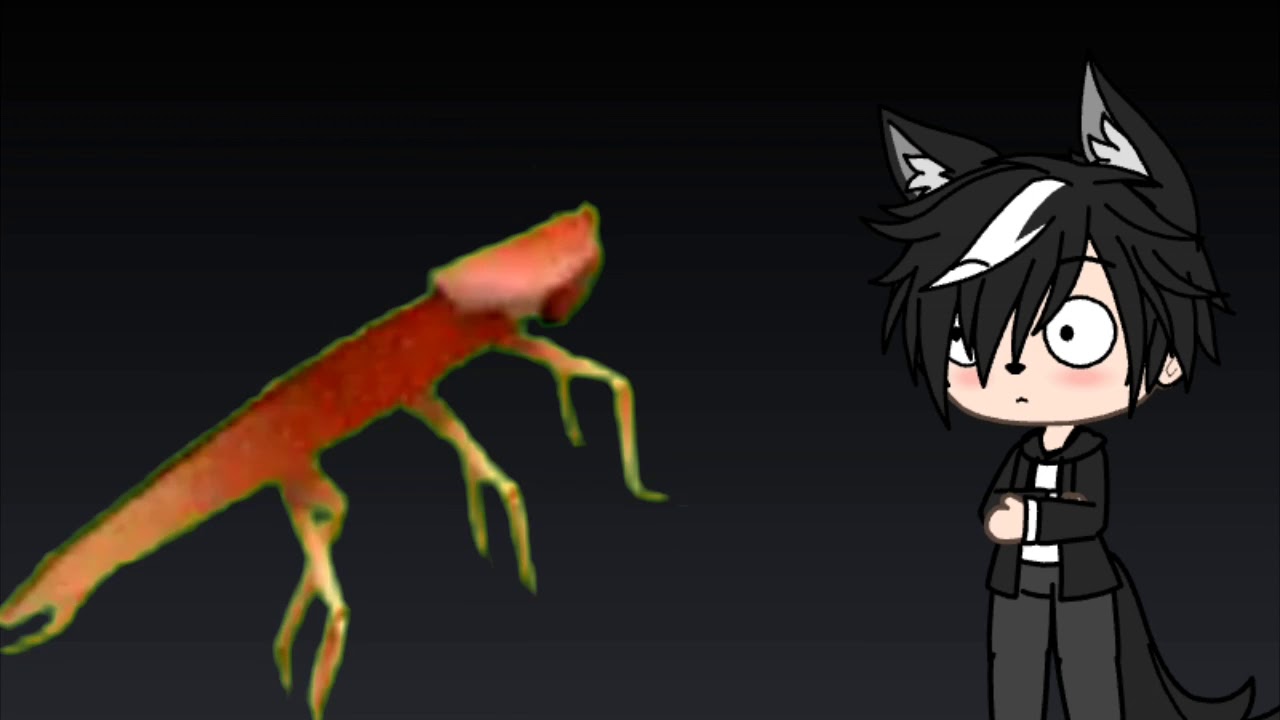 (meme) o dancing cockroach - YouTube