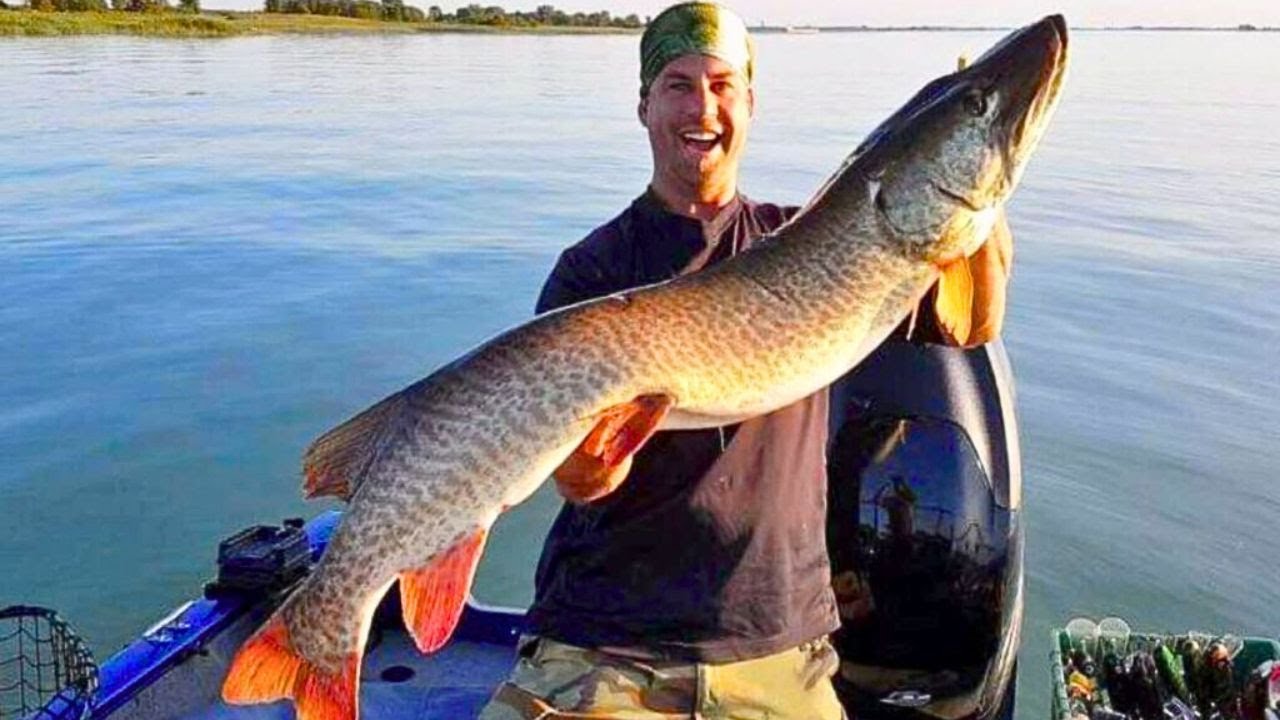 PECHE DU MASKINONGE AU QUEBEC - YouTube