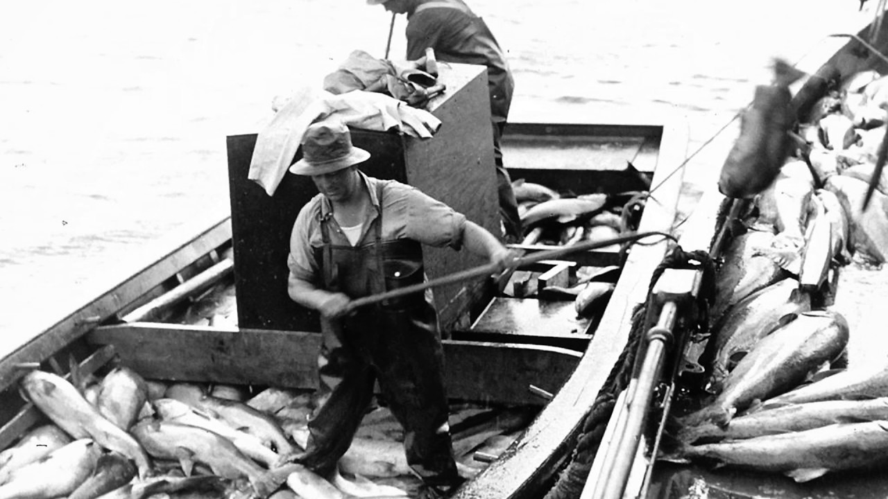 USACE provides fish passage at McNary Lock and Dam - YouTube