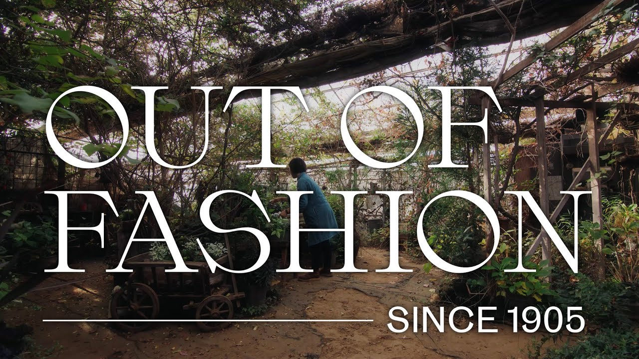 【OUT OF FASHION】Noriko Miyazaki - C’est la vie. / Koji Morita - Hibiki - YouTube