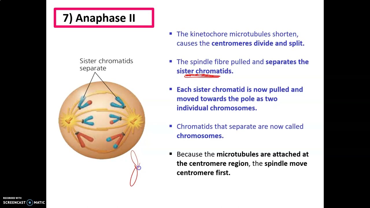 Lecture Chapter 3 Part 9 Youtube