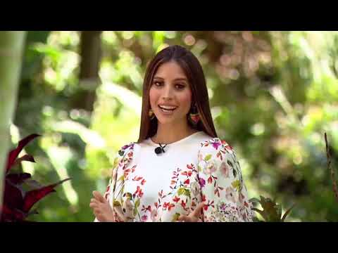 Stephany Zreik - Miss Earth Venezuela 2020 - YouTube