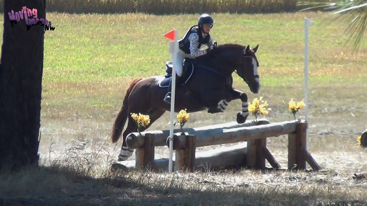 Maya Henderson; SSHF Fall Horse Trials, Oct. 2022 - YouTube