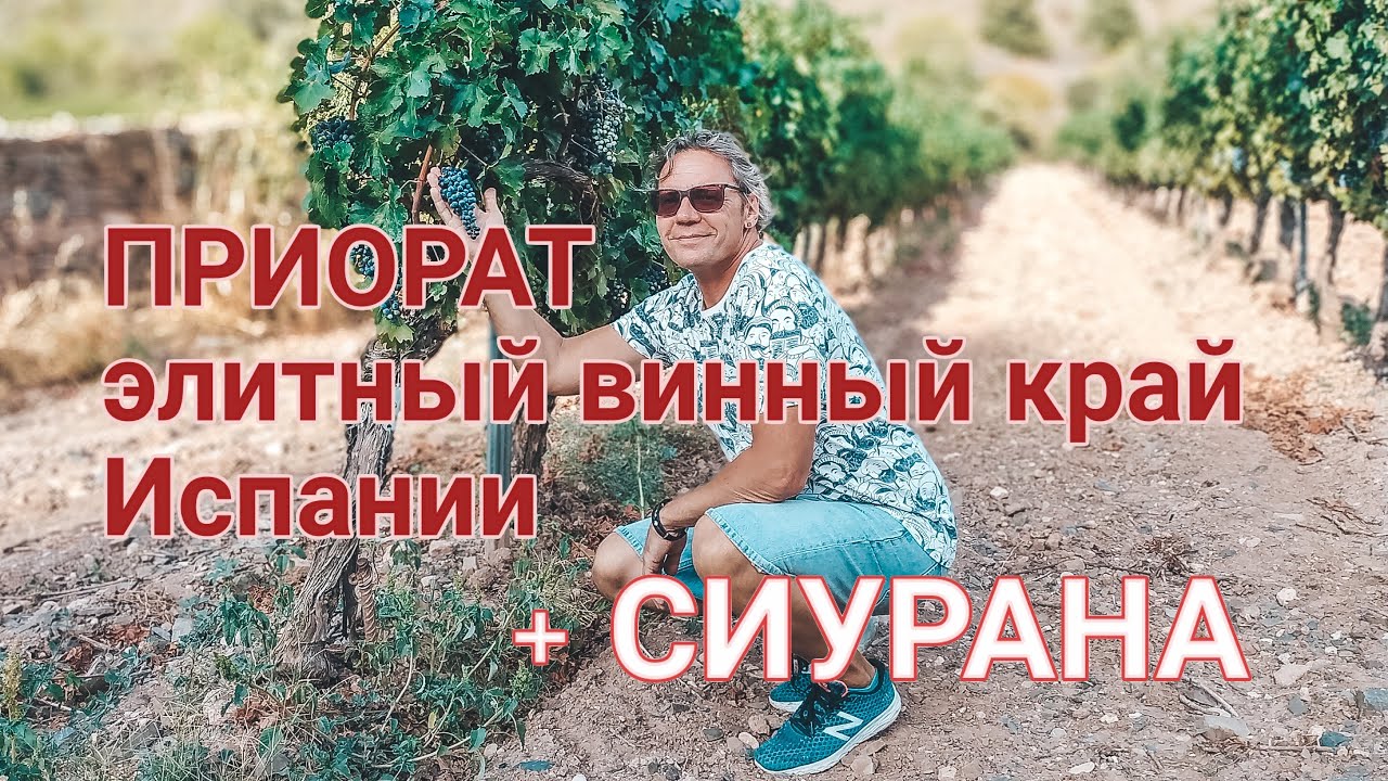 Вина Испании. Экскурсия - Приорат вино, винодельня. Сиурана. - YouTube