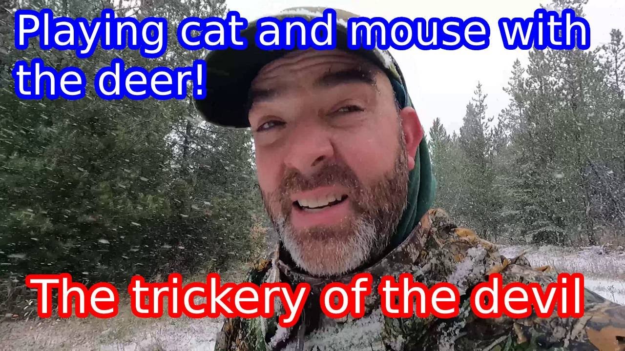 Life @ OFF GRID homestead 44 Playing cat and mouse with the deer | The trickery of the devil ...