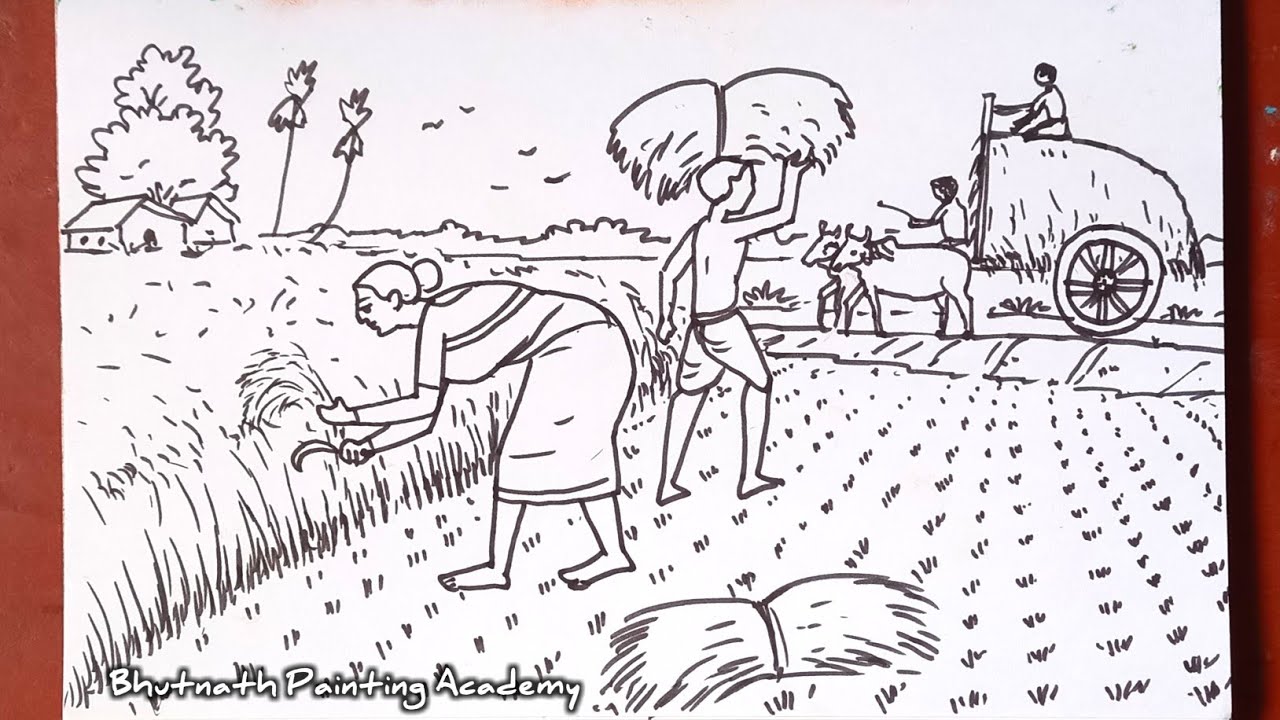 agriculture drawing outline easy - YouTube