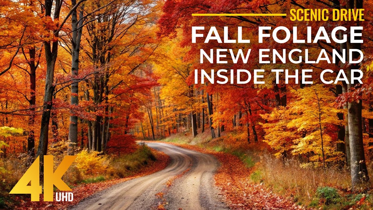 4K Scenic Drive Through America's Best Fall Destinations with Car ...