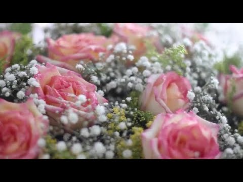 Close-Up Of Flowers Stock Video