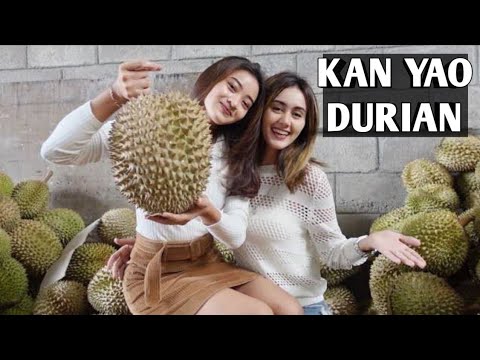 KAN YAO DURIAN / Most Expensive Type of Durian in the World Explained ...