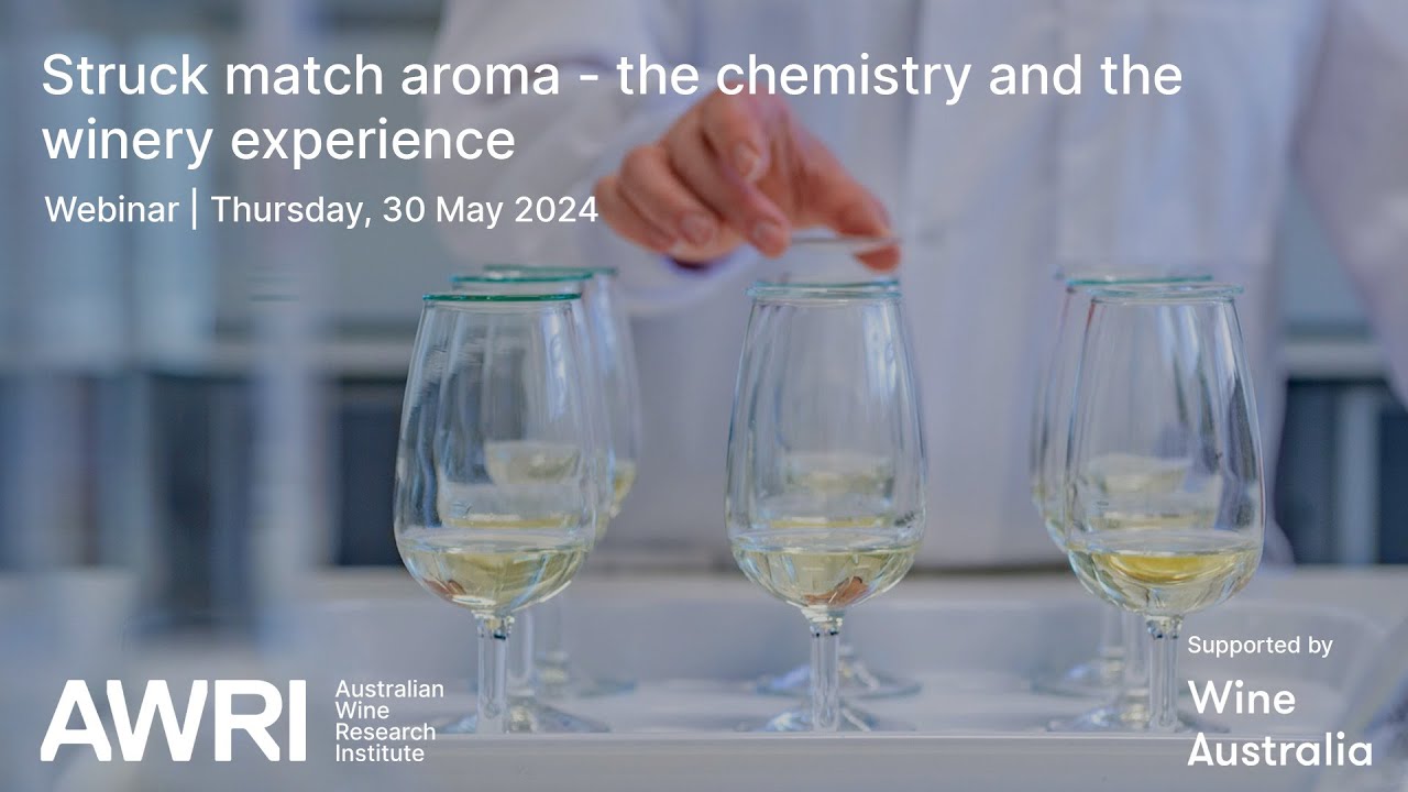 Struck match aroma - the chemistry and the winery experience - YouTube