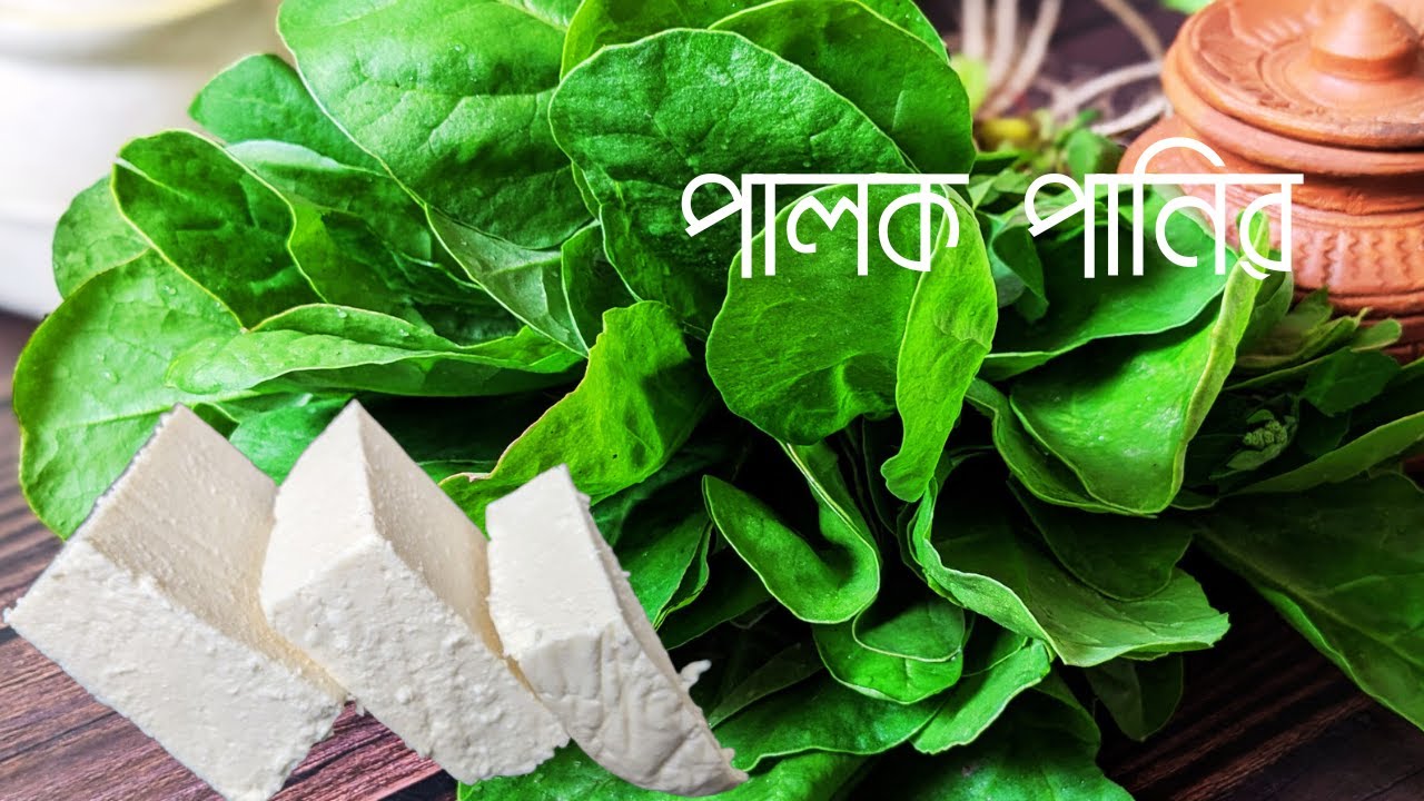 পালক পানির || Palak Paneer Recipe || Palang Paneer - YouTube