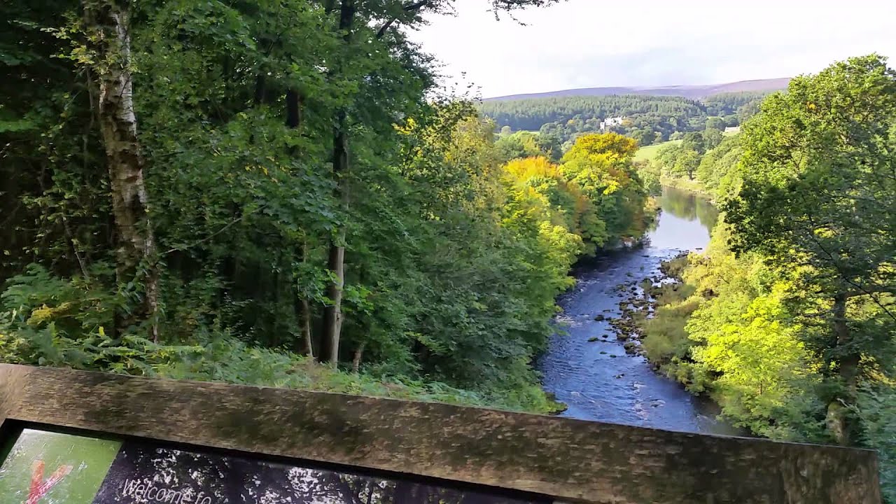 Bolton Abbey Walk-Strid Wood - YouTube
