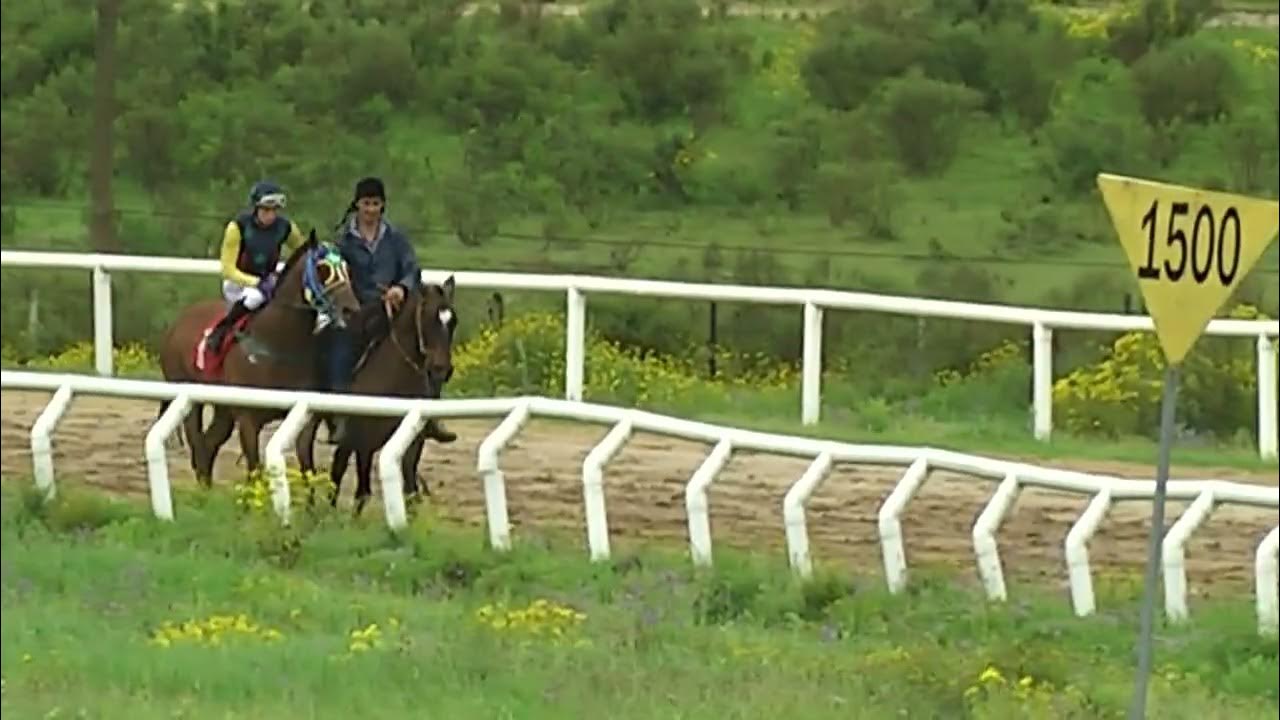 SINT FLORIDA 241024 c05 - 1° JOGADOR - YouTube