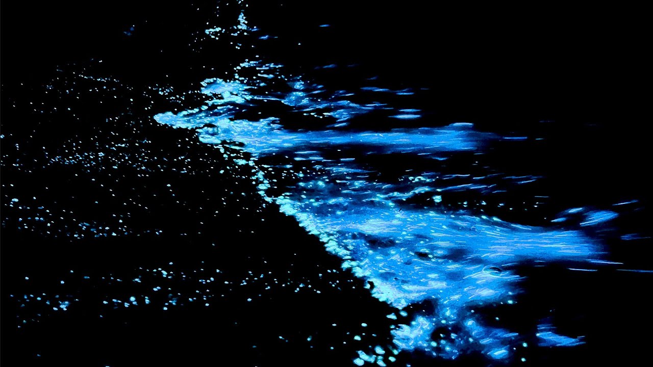 Anbara Island, Maldives - Luminescent Plankton - April 2023 - YouTube