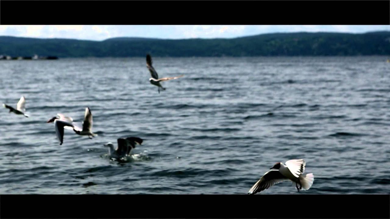 DOMIKA - SUMMERTIME LOVE (Official Music Video) - YouTube