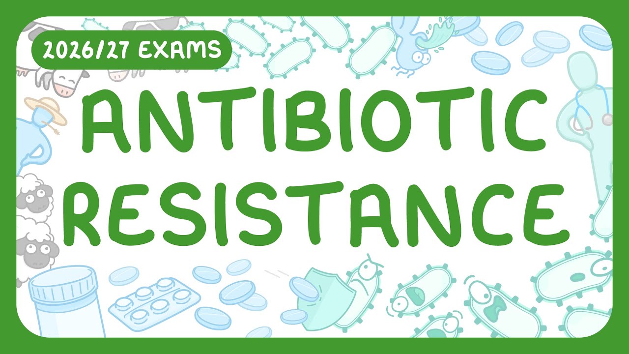 GCSE Biology - Antibiotic Resistance (2026/27 exams) - YouTube