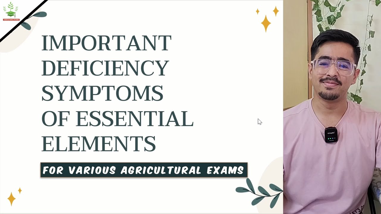 DEFICIENCY SYMPTOMS OF ESSENTIAL ELEMENTS IN PLANTS - ICAR JRF SRF ASRB ...