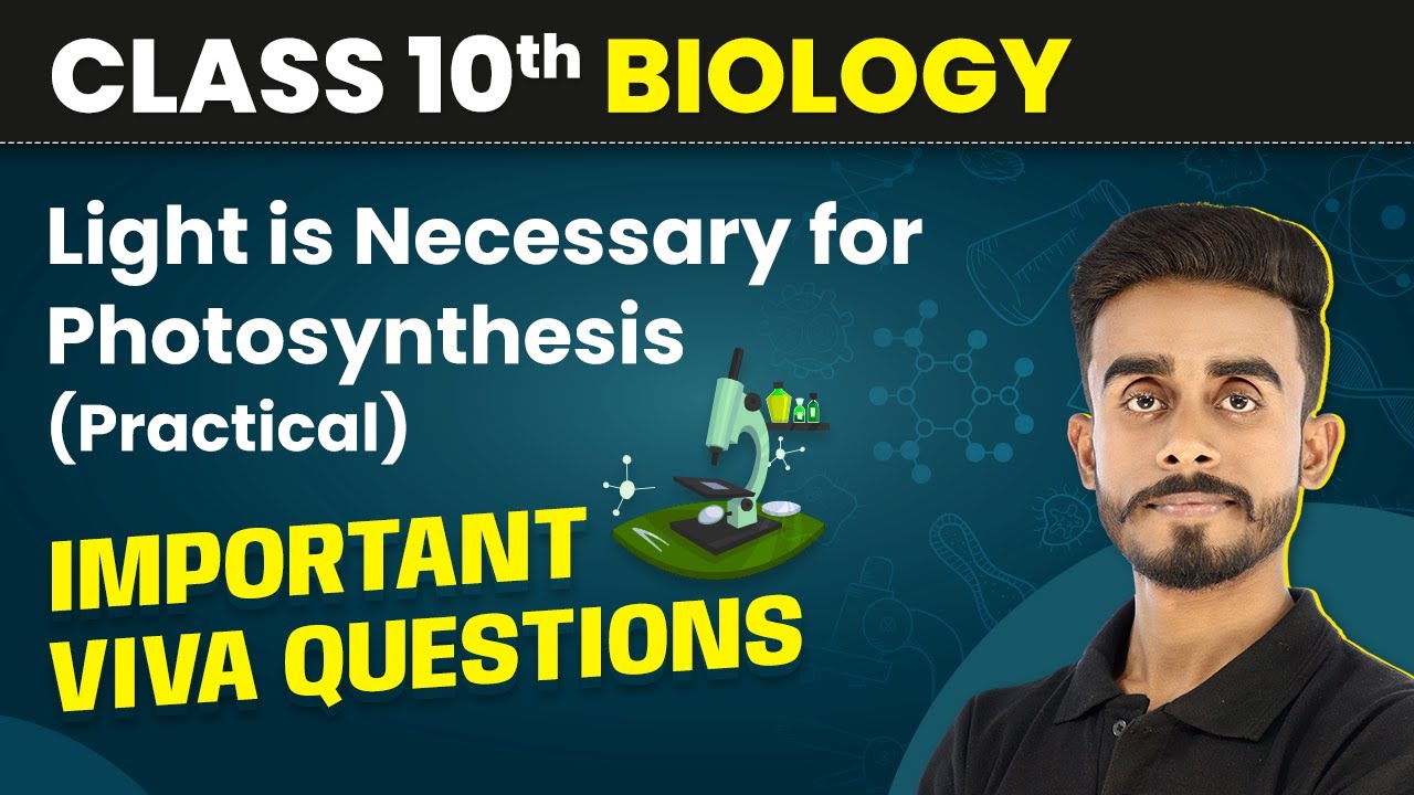 Light is Necessary for Photosynthesis - Important Viva Questions ...