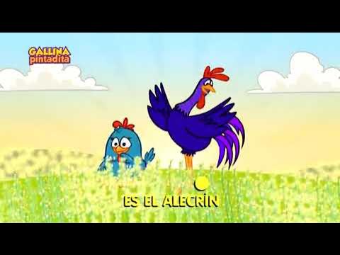 Alecrín Dorado - Gallina Pintadita 2 - Al Revés - YouTube