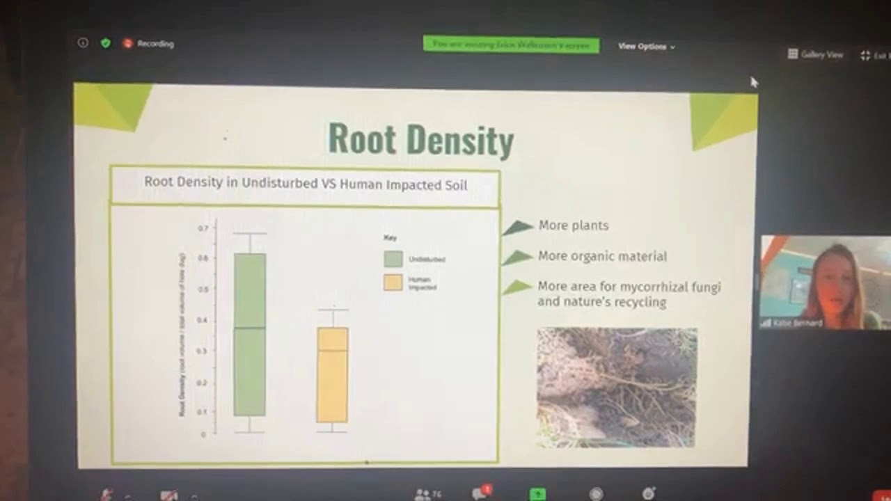 Explaining my Root Density Data and Significance - YouTube