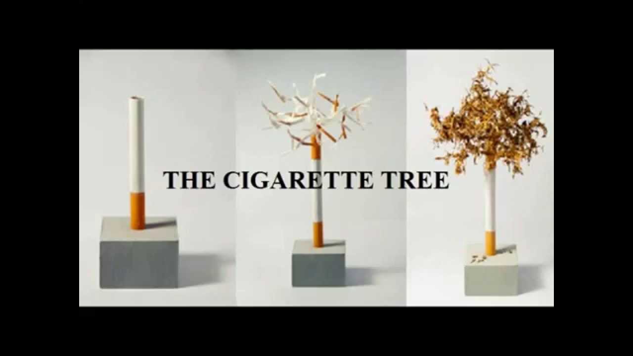 The Cigarette Tree - YouTube