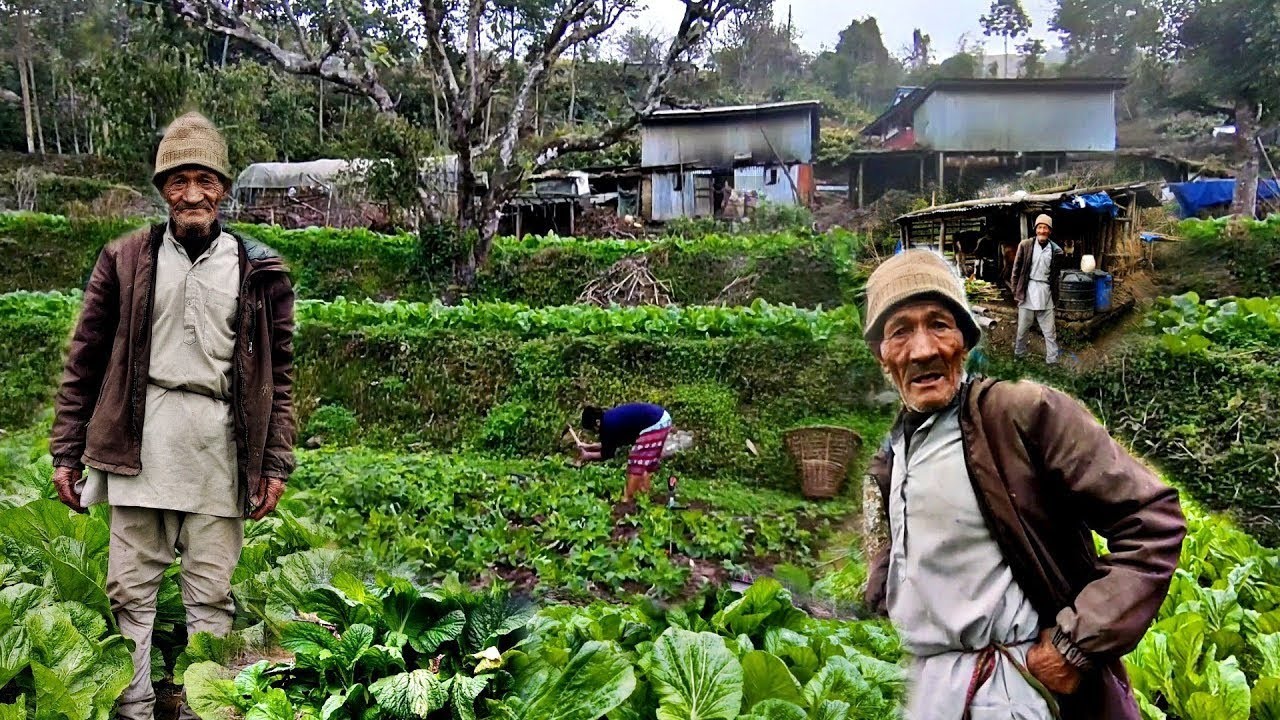 A 81 Years Old Man Working Hard At His Daily Routine | Beautiful ...