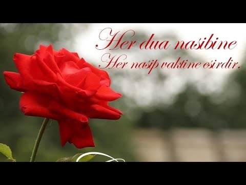 Hayırlı Cumalar 🌹 En Yeni Cuma Mesajları 🌹