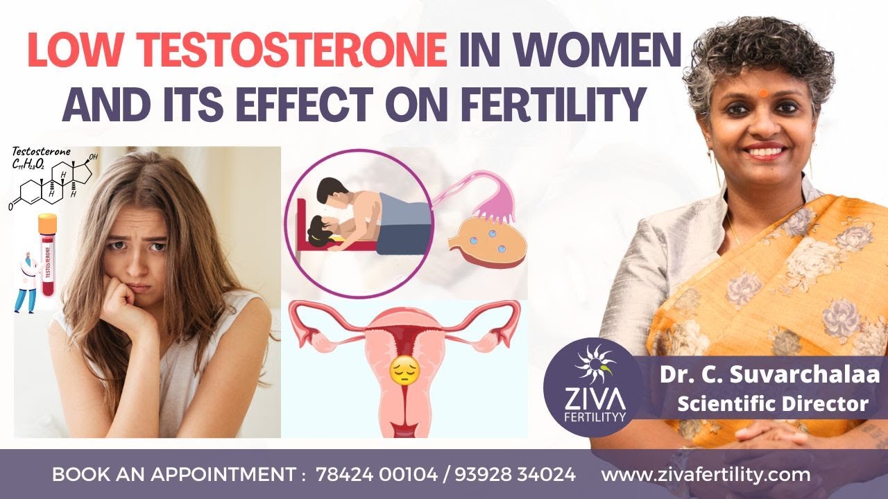 Low Testosterone In Women || Fertility || Trying To Conceive || Dr C ...