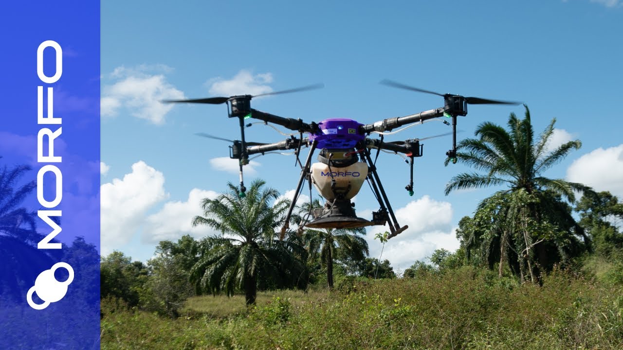 MORFO's 4-Step solution for large-scale tropical reforestation - YouTube