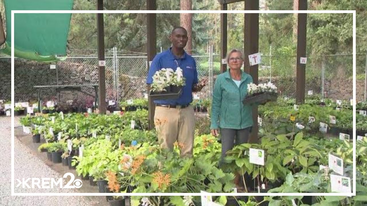 Fall Plant Sale at Manito Park on Saturday, August 24 - YouTube