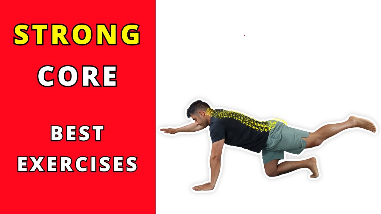 Best Core Exercises for Disc Bulges Recovery - YouTube